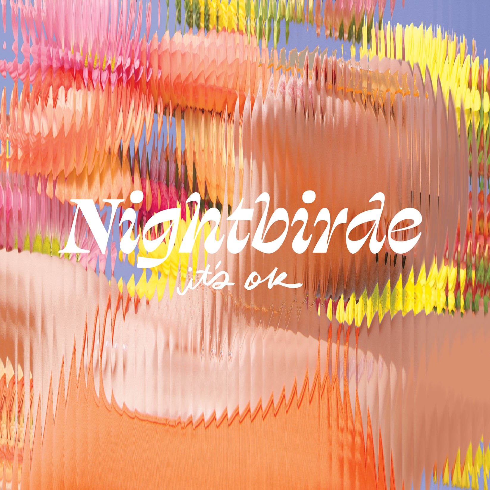Nightbirde - It's OK [Collectors CD] – The Official Nightbirde Store